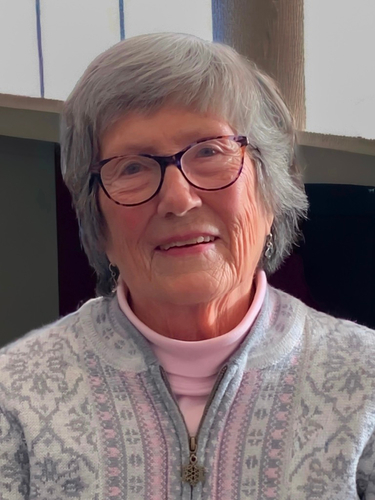 Deborah Huber Monroe - Concord Monitor