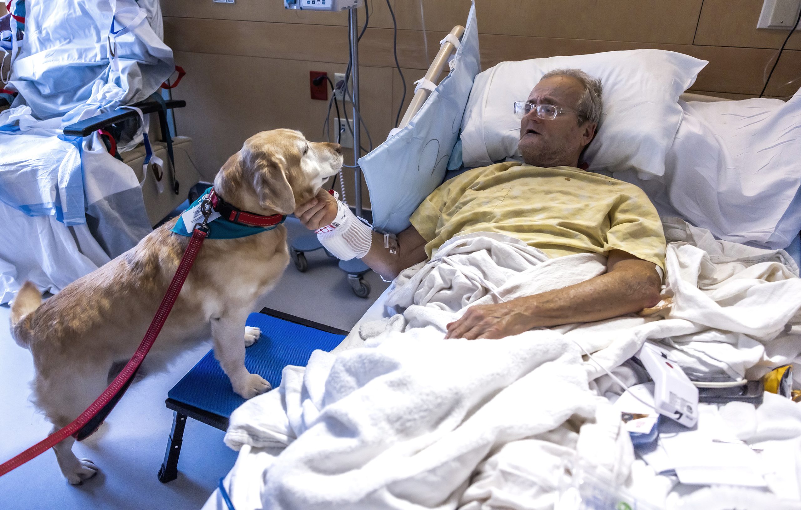 Concord Hospital's PUP program lifts spirits with pets - Concord Monitor