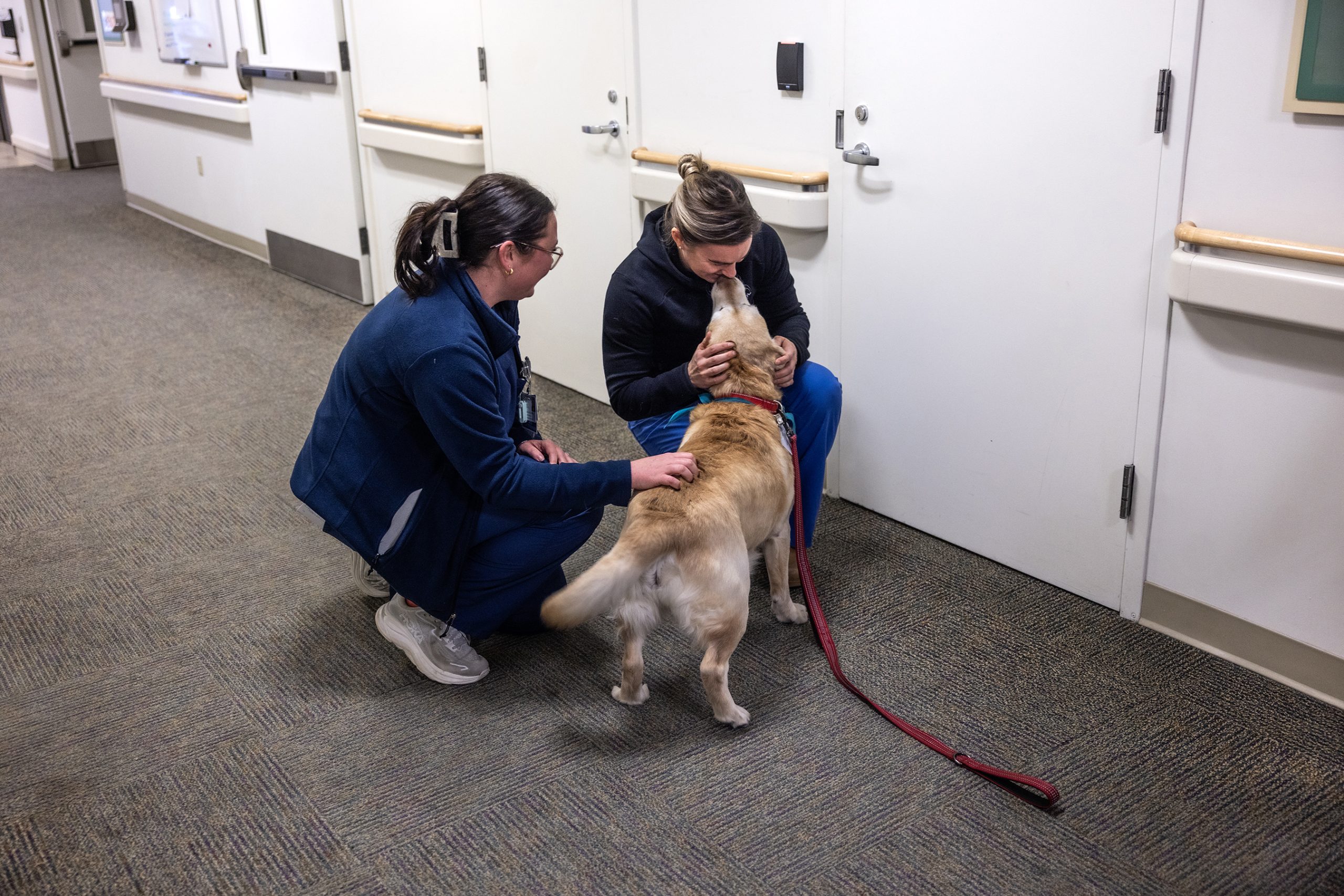 Concord Hospital's PUP program lifts spirits with pets - Concord Monitor