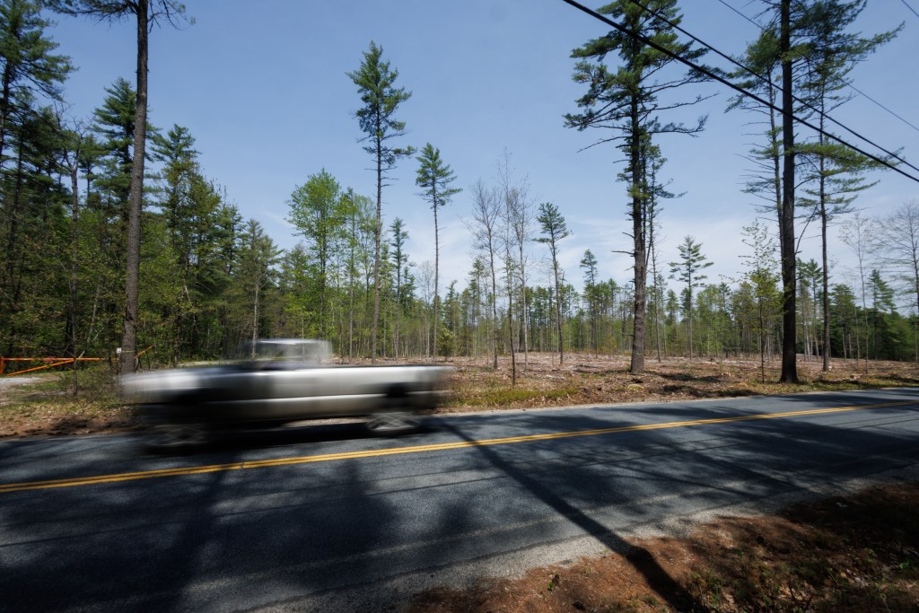 Tree Harvest at Bear Brook for Recreational Trail - Concord Monitor