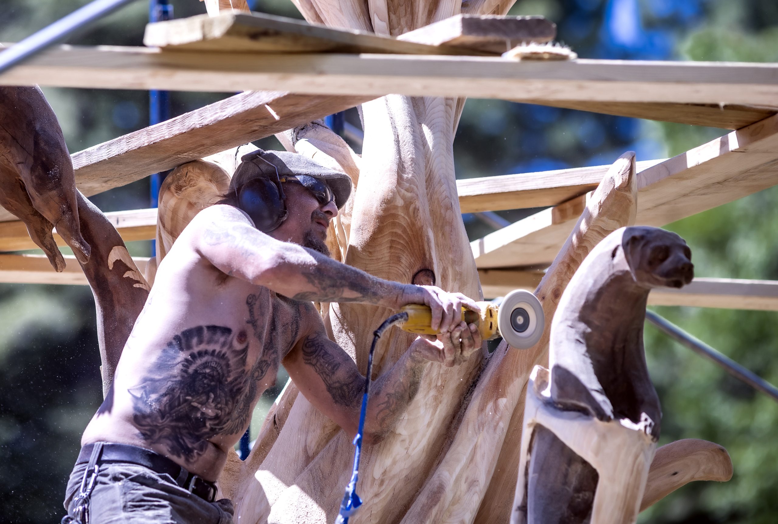'Create from my soul': Wood carver turns dying tree into otter ...