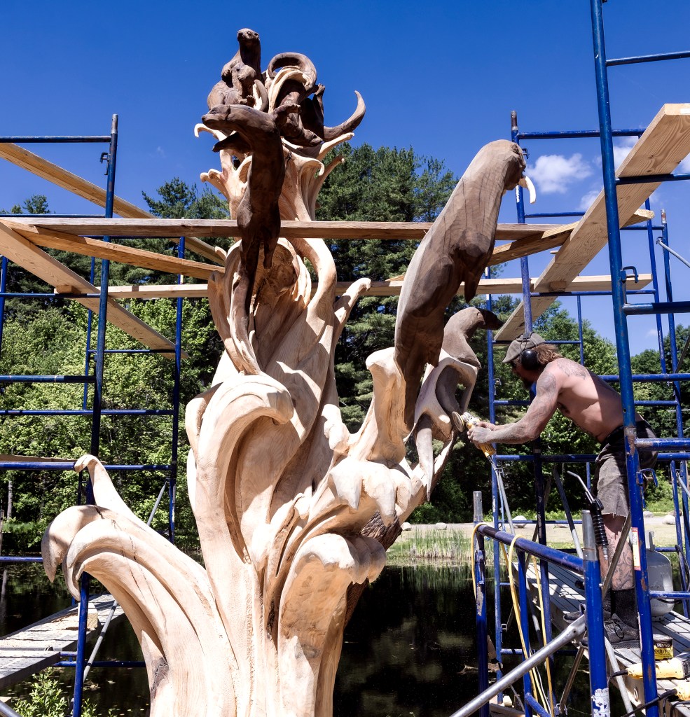 'Create from my soul': Wood carver turns dying tree into otter ...